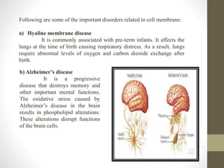 Basic principles of Cell injury and Adaptation | PPTX