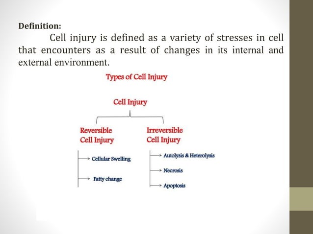 Basic principles of Cell injury and Adaptation | PPTX