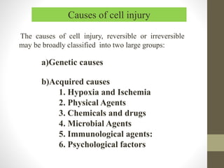 Basic principles of Cell injury and Adaptation | PPTX