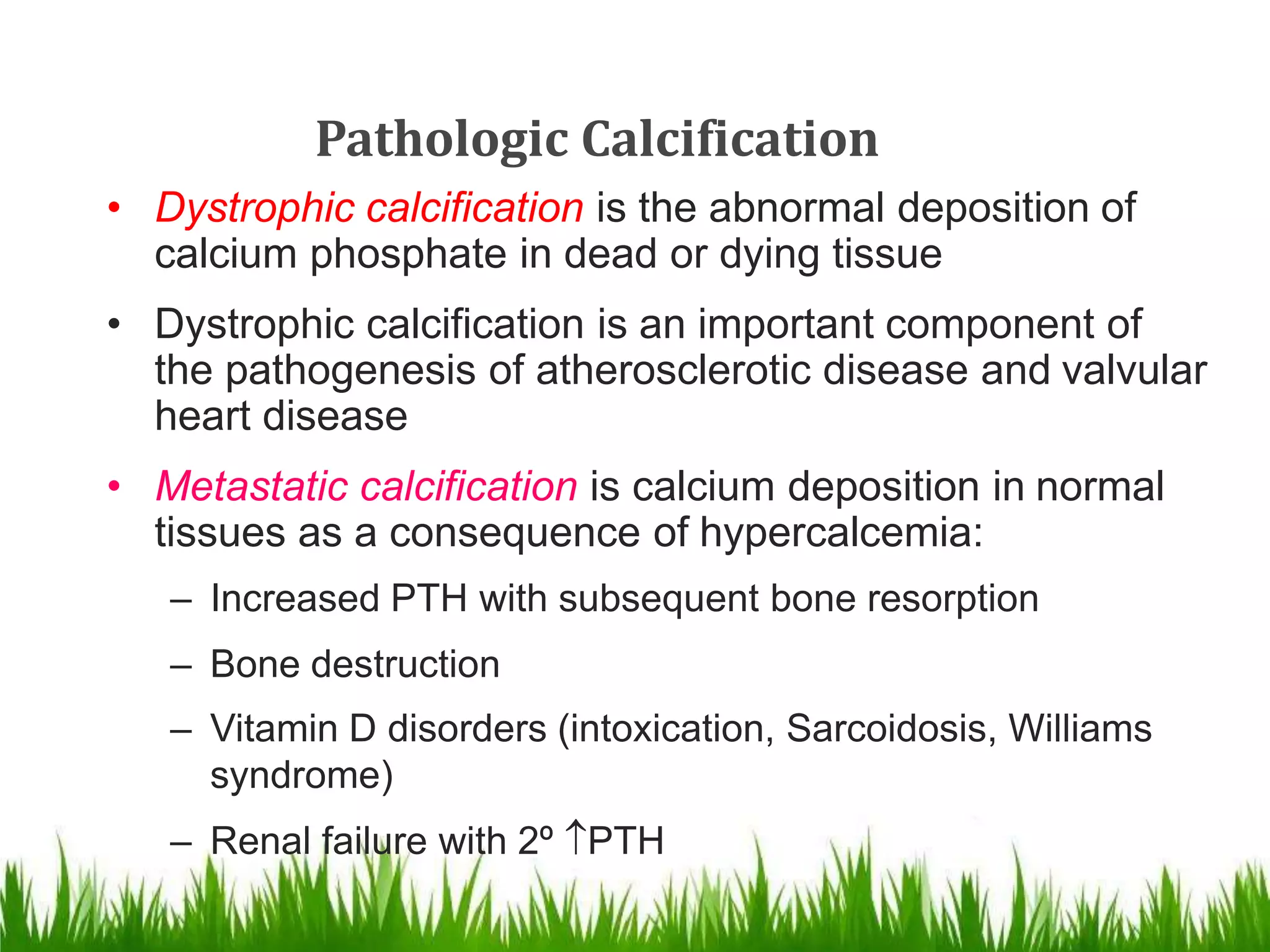 Cell injury, adaptations and death | PPTX