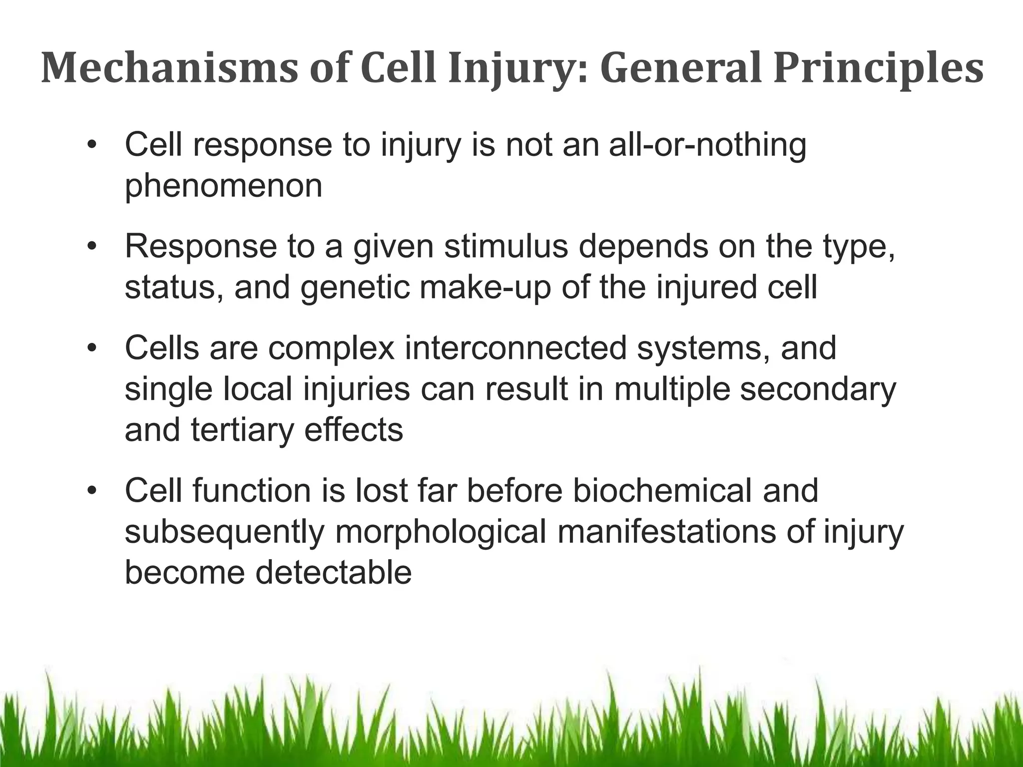 Cell injury, adaptations and death | PPTX