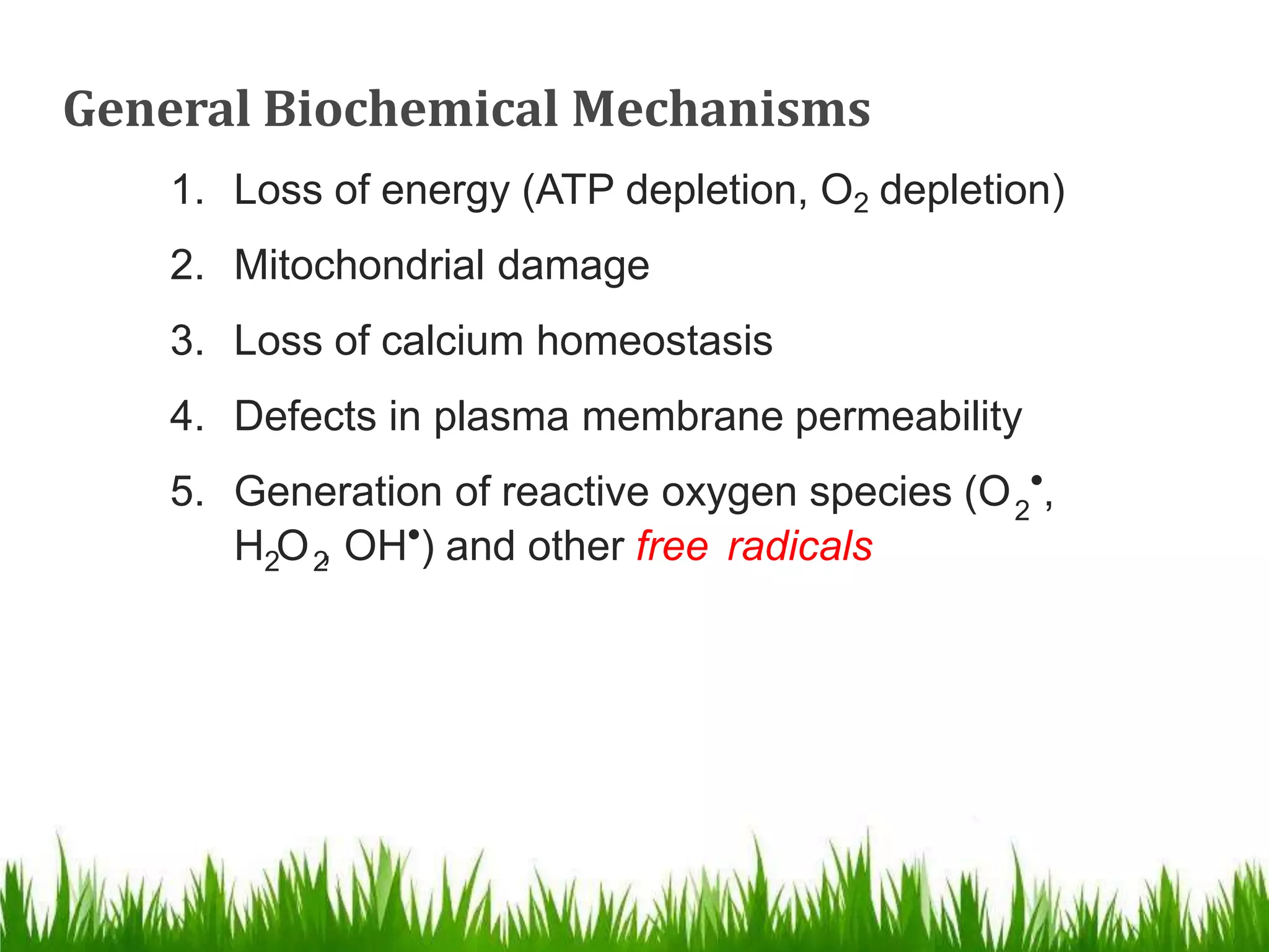 Cell injury, adaptations and death | PPTX
