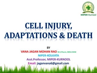 Cell injury, adaptations and death | PPTX