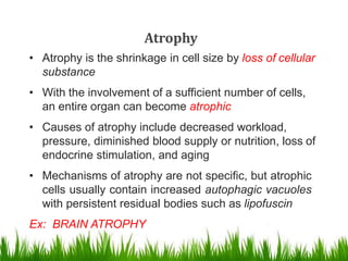 Cell injury, adaptations and death | PPTX