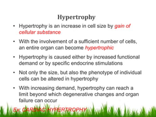 Cell injury, adaptations and death | PPTX