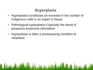 Cell injury, adaptations and death | PPTX