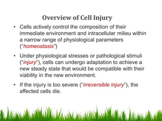 Cell injury, adaptations and death | PPTX
