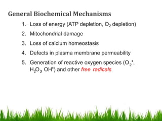 Cell injury, adaptations and death | PPTX