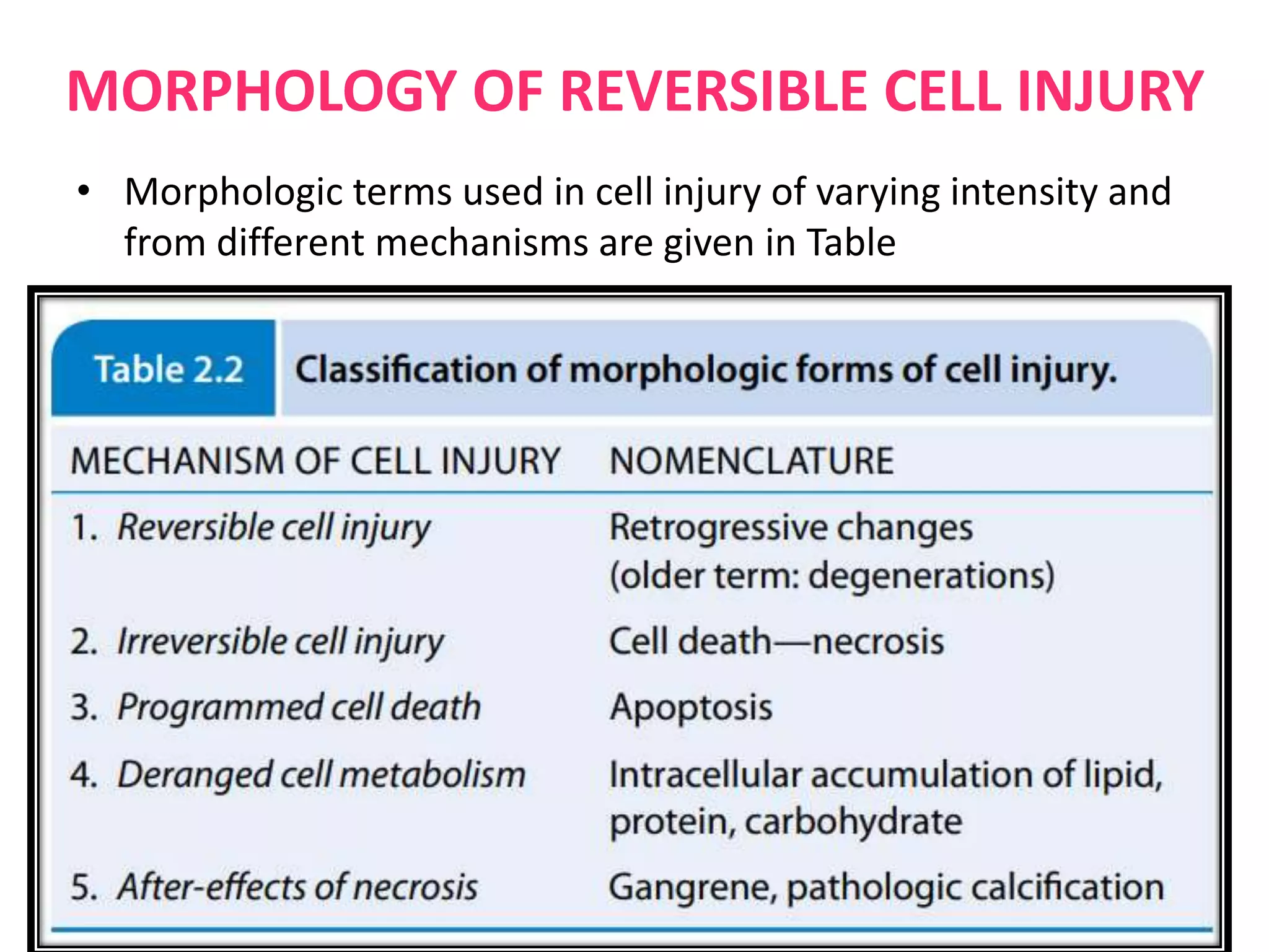 Morphology of Cell injury by Dr. Roopam Jain | PPTX