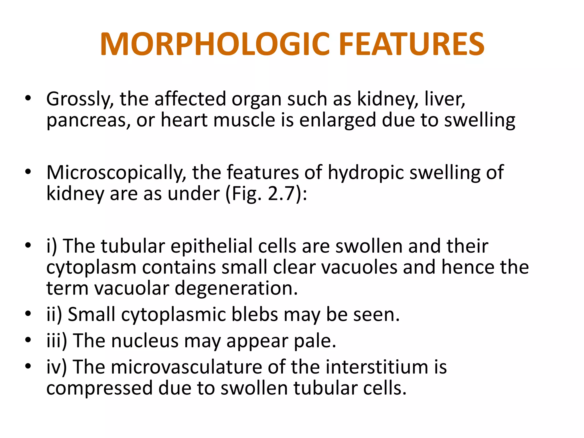 Morphology of Cell injury by Dr. Roopam Jain | PPTX