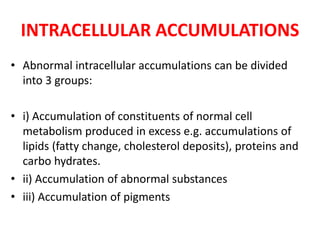 Morphology of Cell injury by Dr. Roopam Jain | PPTX