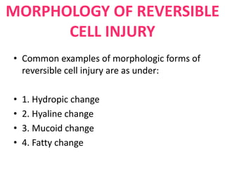 Morphology of Cell injury by Dr. Roopam Jain | PPTX