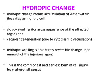 Morphology of Cell injury by Dr. Roopam Jain | PPTX