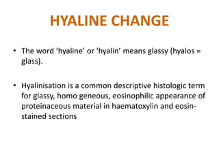 Morphology of Cell injury by Dr. Roopam Jain | PPTX