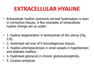 Morphology of Cell injury by Dr. Roopam Jain | PPTX