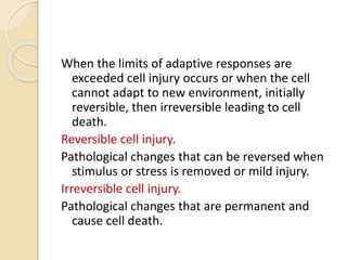 cell injury.pptx