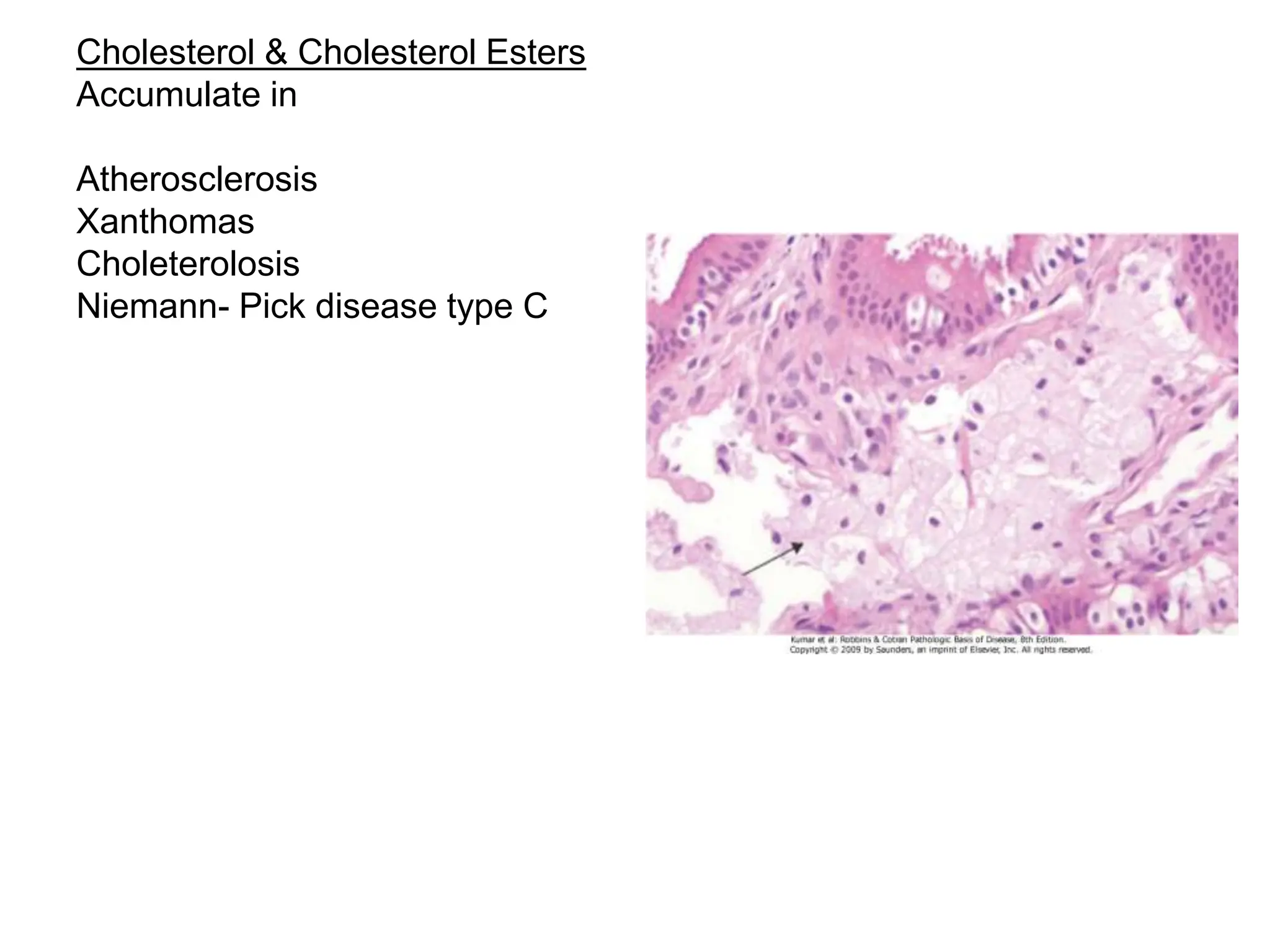 mech of cell injury, adaptation, necrosis.ppt