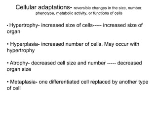 mech of cell injury, adaptation, necrosis.ppt