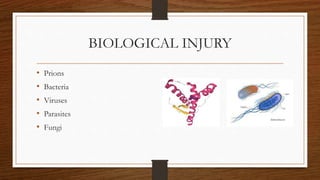 injury and death of a cell in a human body | PPT