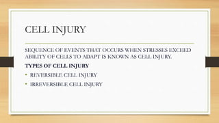 Cell Injury Pathology.pptx . | PPTX