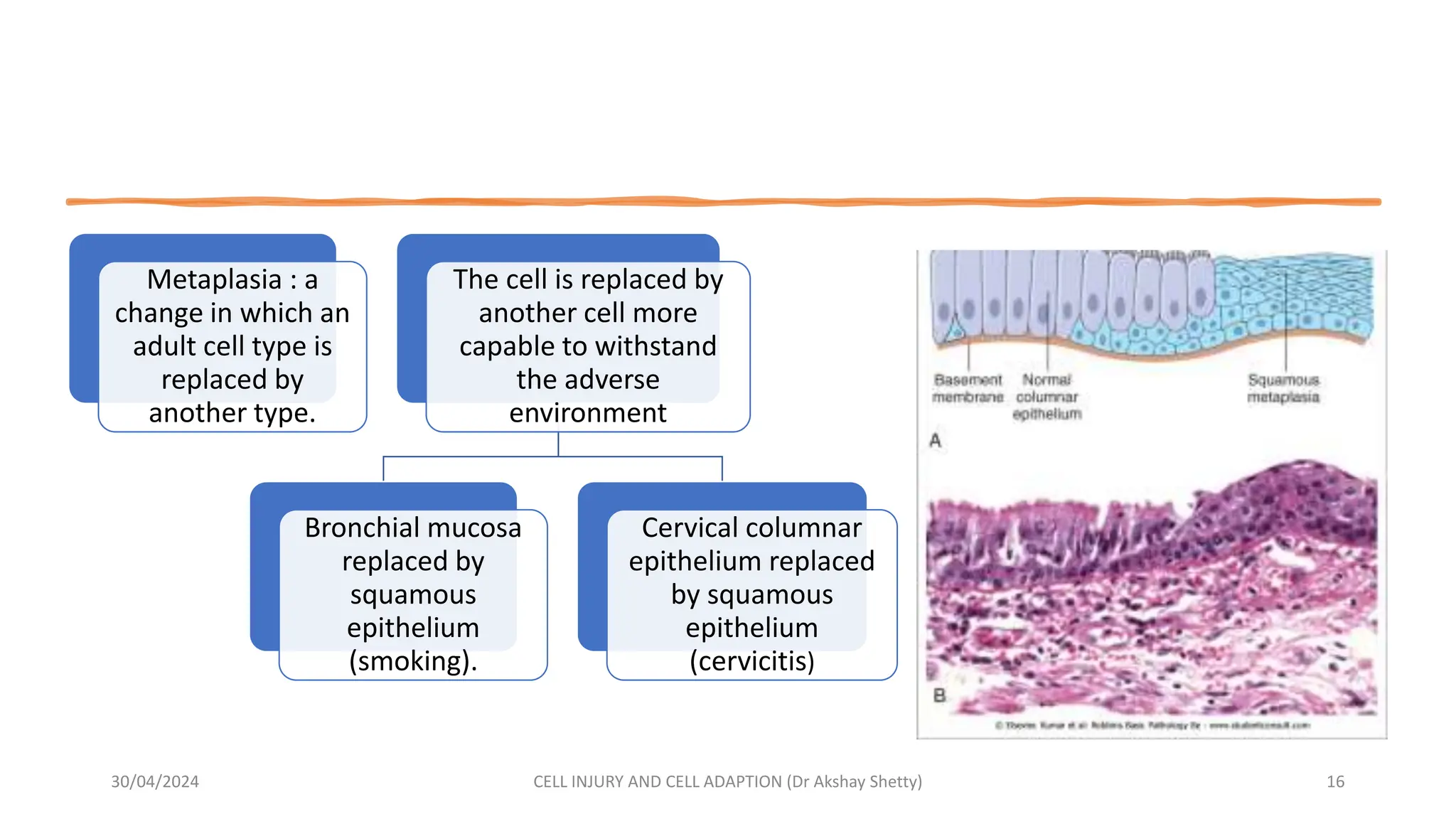 Cell injury and Cellular Adaption Dr Akshay Shetty.pptx