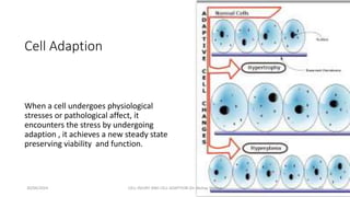 Cell injury and Cellular Adaption Dr Akshay Shetty.pptx