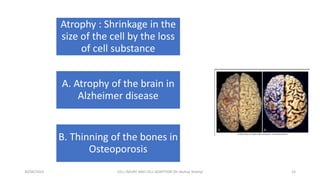 Cell injury and Cellular Adaption Dr Akshay Shetty.pptx
