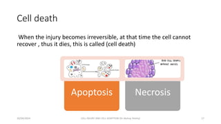 Cell injury and Cellular Adaption Dr Akshay Shetty.pptx