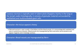 Cell injury and Cellular Adaption Dr Akshay Shetty.pptx