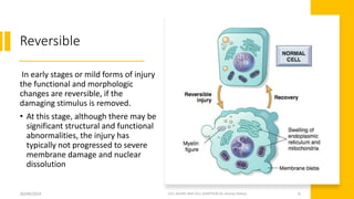 Cell injury and Cellular Adaption Dr Akshay Shetty.pptx
