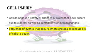 CELL INJURY.pptx cell injury cell injury | PPT