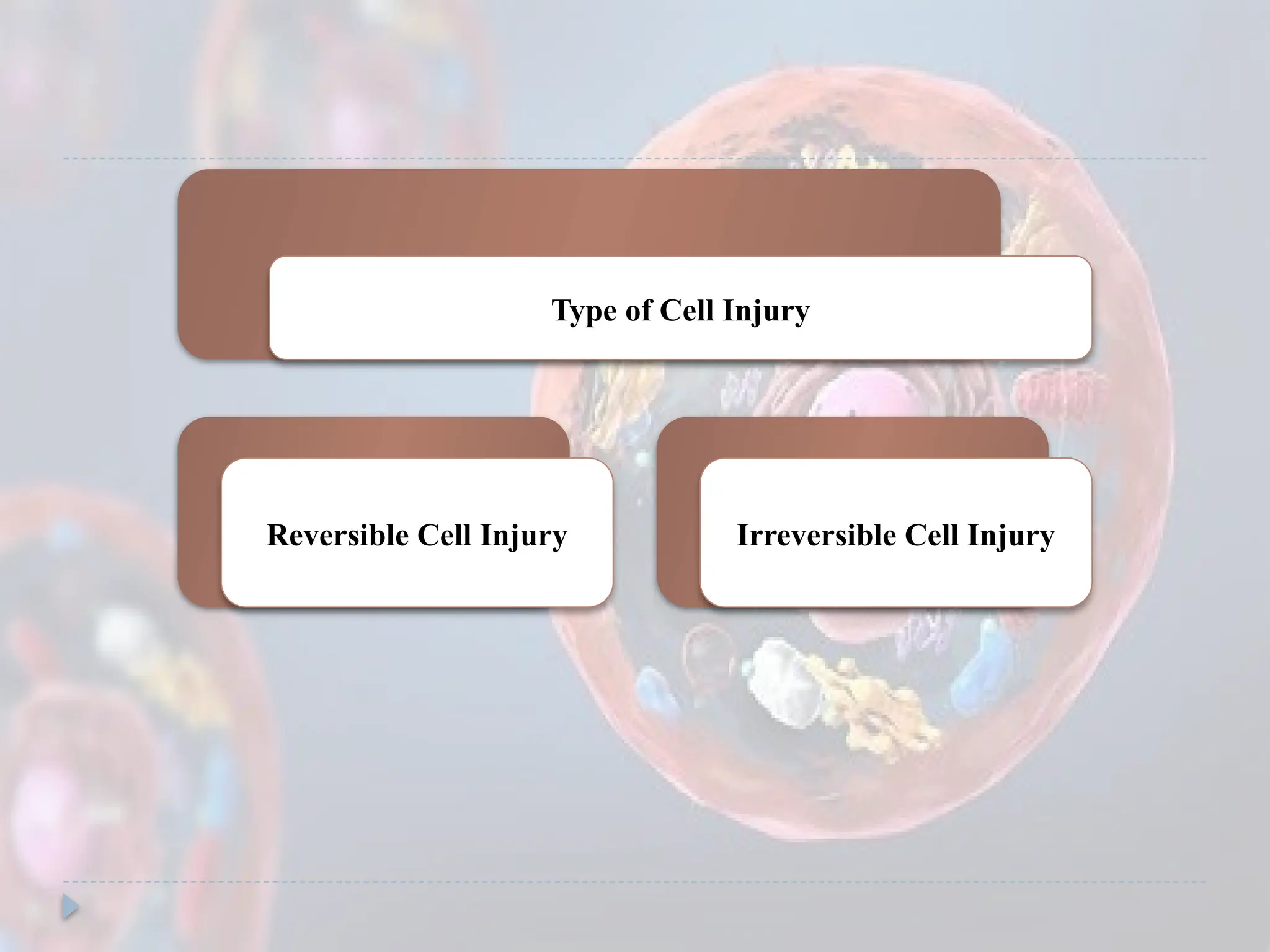 CELL INJURY (Reversible OR Irreversible Cell Injury | PPTX