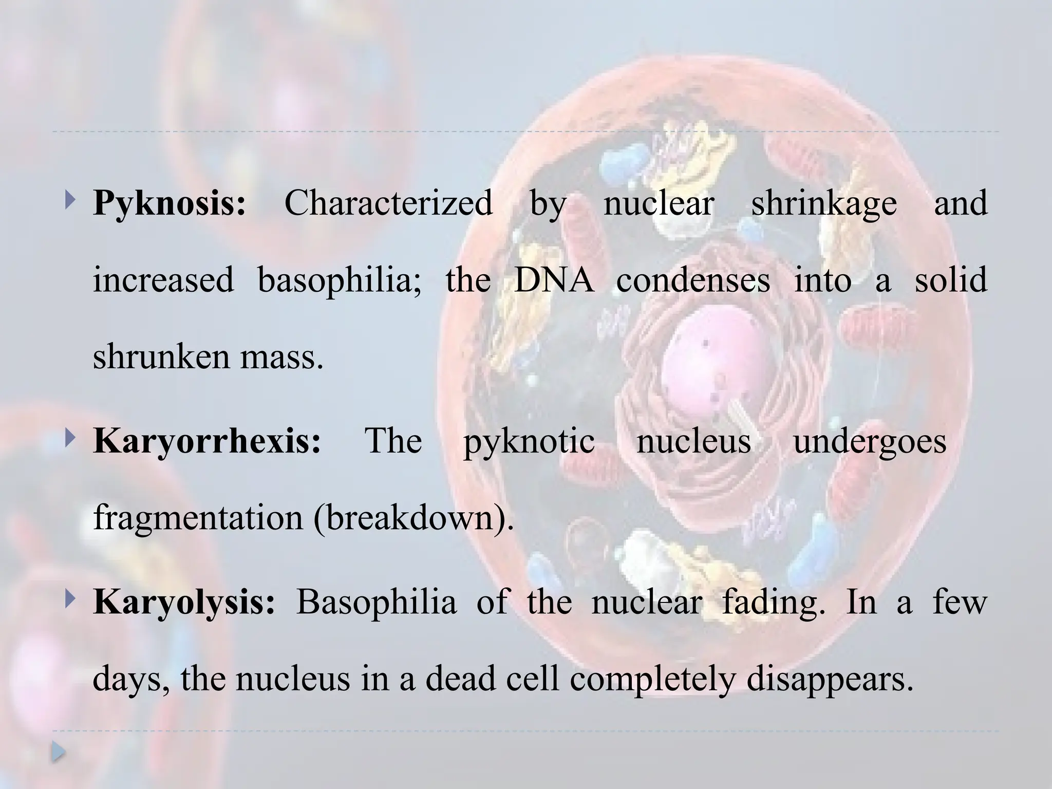 CELL INJURY (Reversible OR Irreversible Cell Injury | PPTX