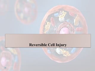 CELL INJURY (Reversible OR Irreversible Cell Injury | PPTX