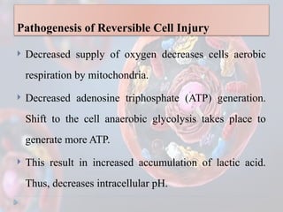 CELL INJURY (Reversible OR Irreversible Cell Injury | PPTX
