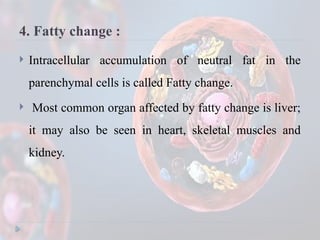 CELL INJURY (Reversible OR Irreversible Cell Injury | PPTX