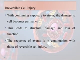 CELL INJURY (Reversible OR Irreversible Cell Injury | PPTX