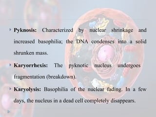 CELL INJURY (Reversible OR Irreversible Cell Injury | PPTX