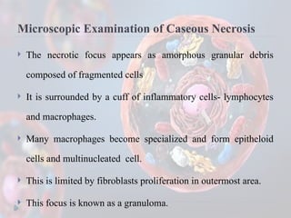 CELL INJURY (Reversible OR Irreversible Cell Injury | PPTX