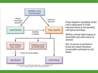 CELL INJURY.ppt for nursing students sna | PPT