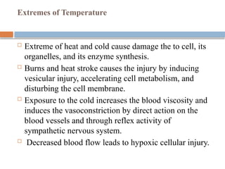 Cell Injury ppt of pathophysiology best ppt | PPTX