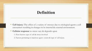 Cell Injury ppt reversible and irreversible injury | PPTX