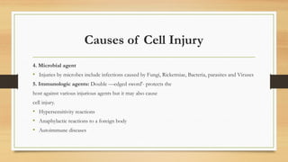 Cell Injury ppt reversible and irreversible injury | PPTX