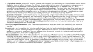 CELL INJURY, death and adaptation, basics of healing.pptx
