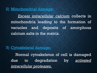 Basic Principles of Cell injury and Adaptation: Homeostasis, Components ...