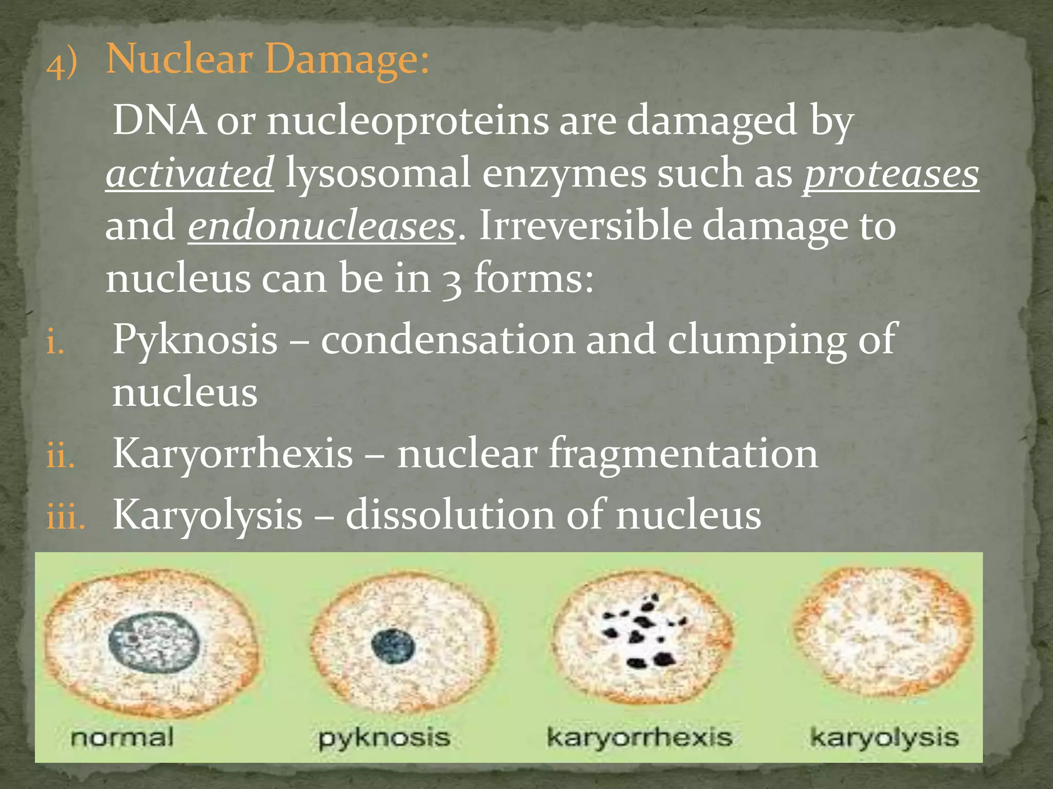 Cell injury etiology and pathogenesis | PPTX