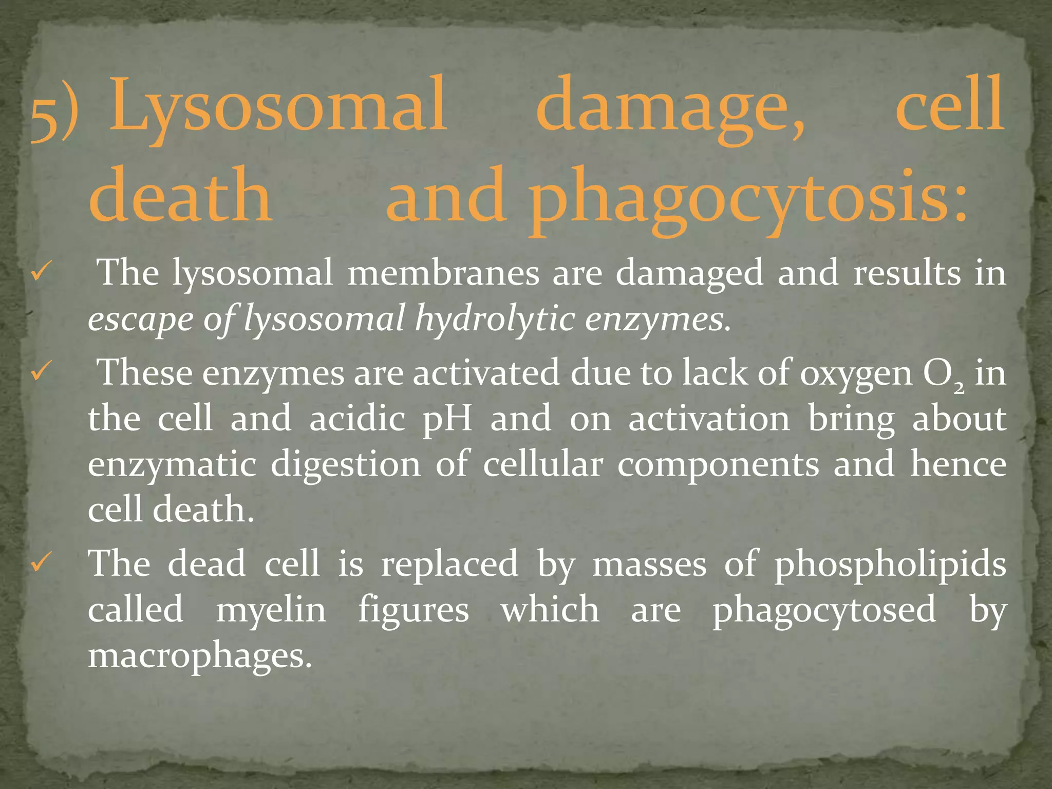 Cell injury etiology and pathogenesis | PPTX