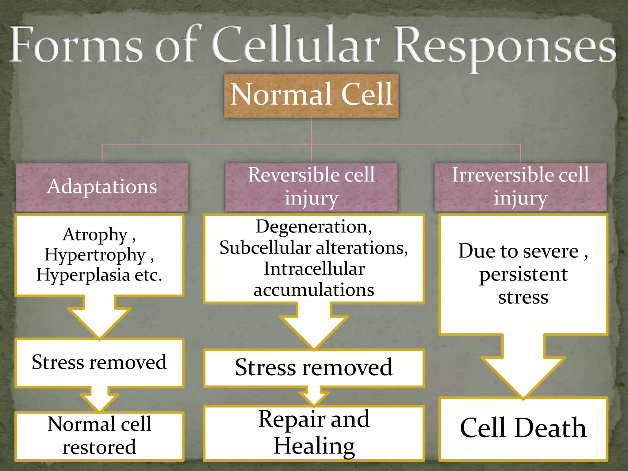 Cell injury etiology and pathogenesis | PPTX