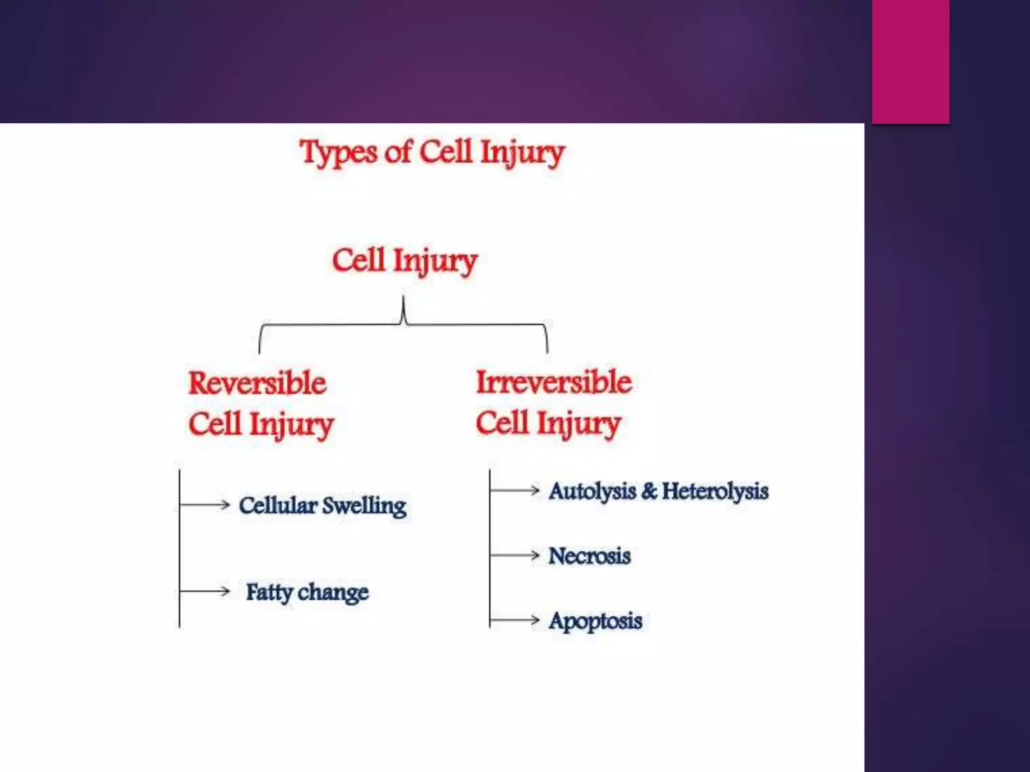 Cell injury-I Overview of cellular necrosis | PPTX