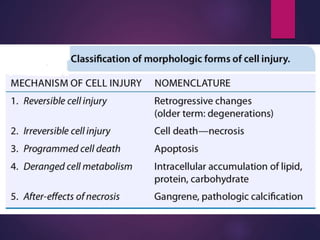 Cell injury-I Overview of cellular necrosis | PPTX